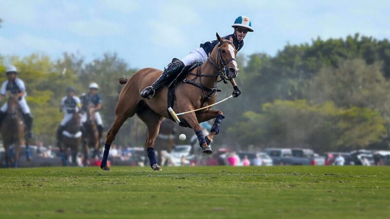 “Polo” Documentary series on Netflix about polo, a little-known but ...