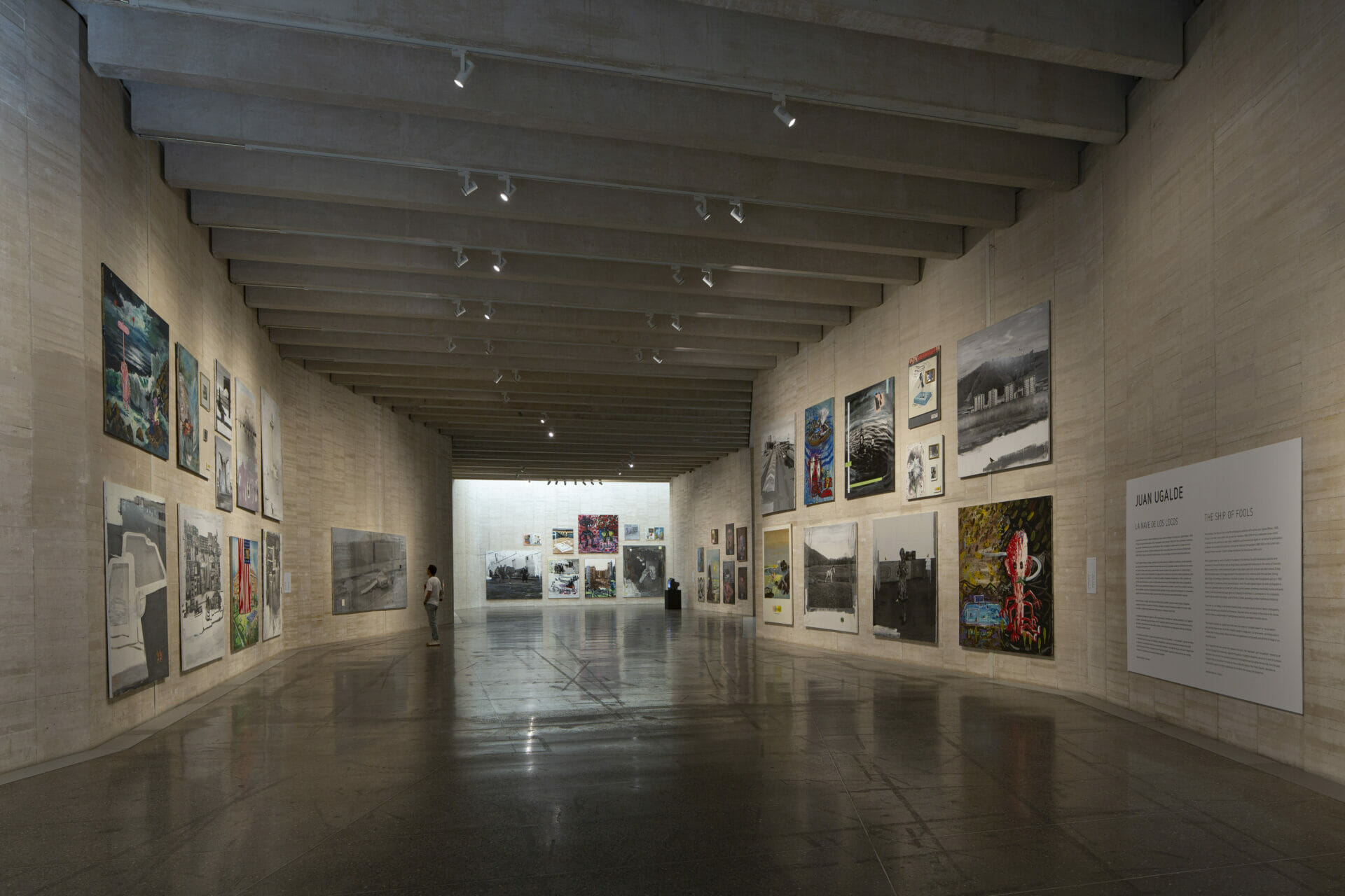 Juan Ugalde: La nave de los locos | Museo de Arte Contemporáneo de ...